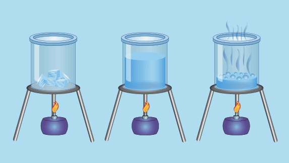 Twin Educator Platform